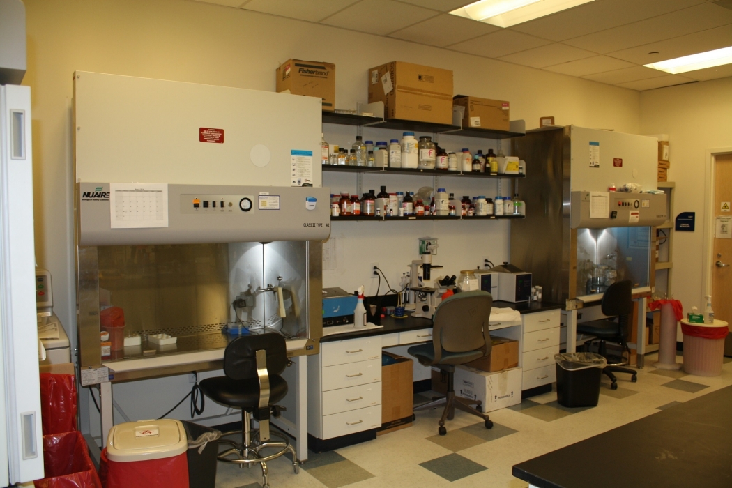 Frank Reidy Research Center for Bioelectrics: Trainees - Old Dominion ...