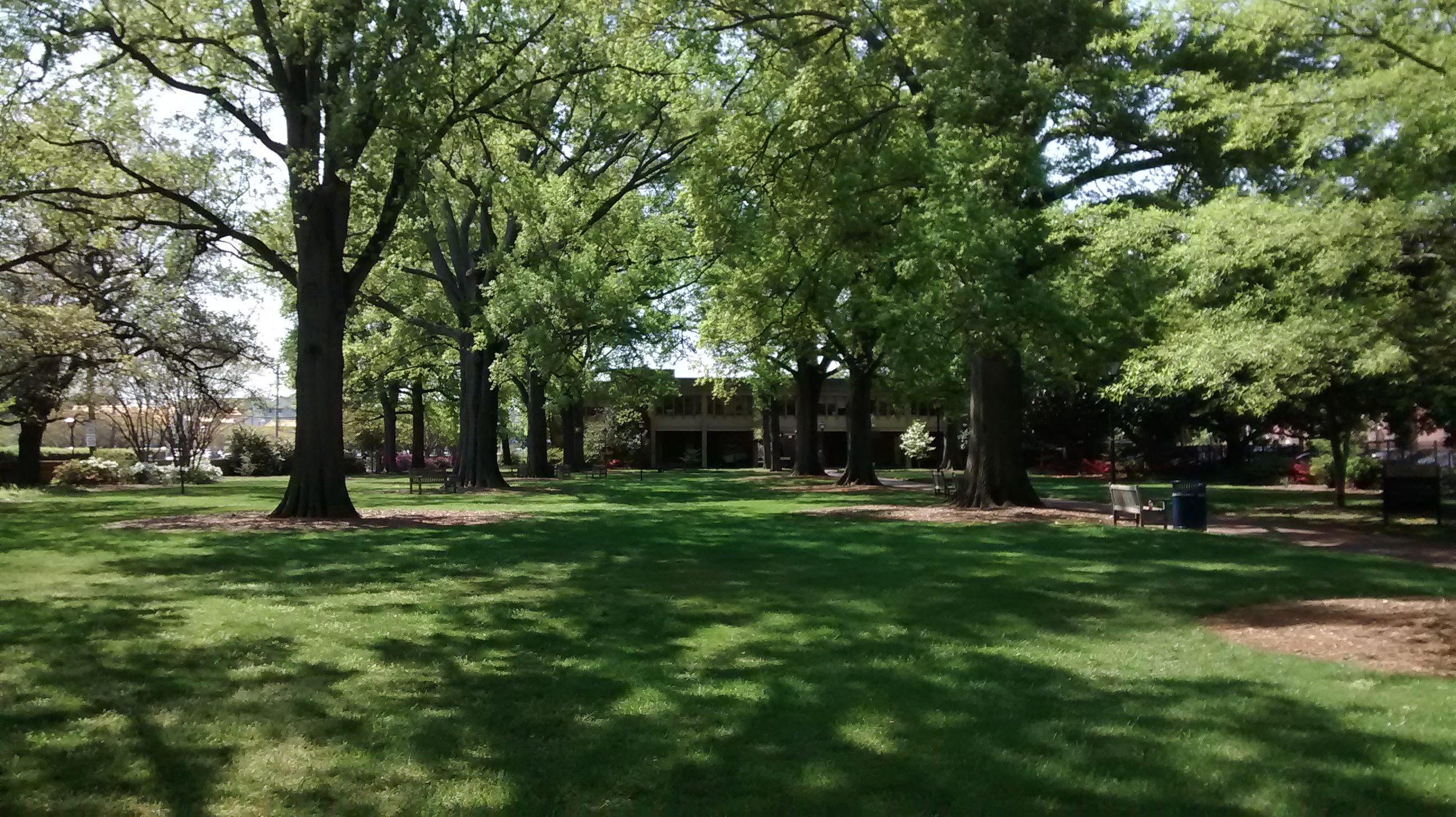 For Fifth Year, ODU Achieves Tree Campus USA Distinction « News @ ODU