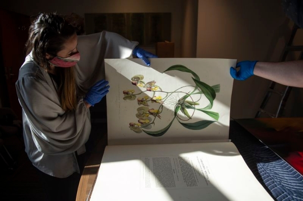 The Barry Art Museum at ODU: "Fledgling but growing fast. (The ...