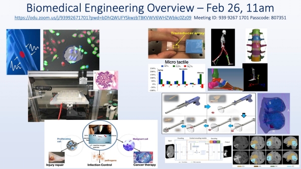 Biomedical Engineering Overview | Old Dominion University