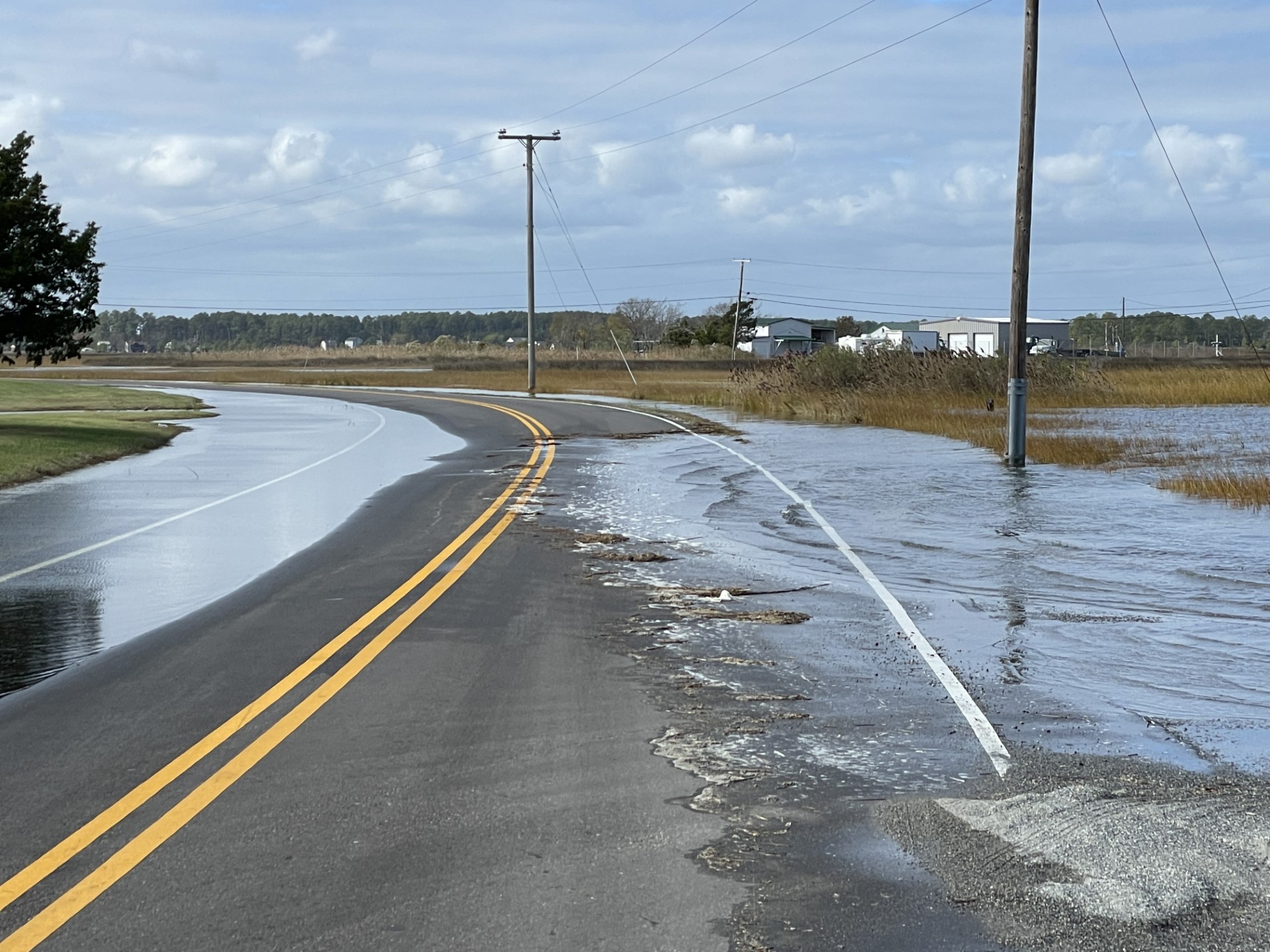 Blue Line and Related Projects Scan, Sample and Spotlight the Year’s ...