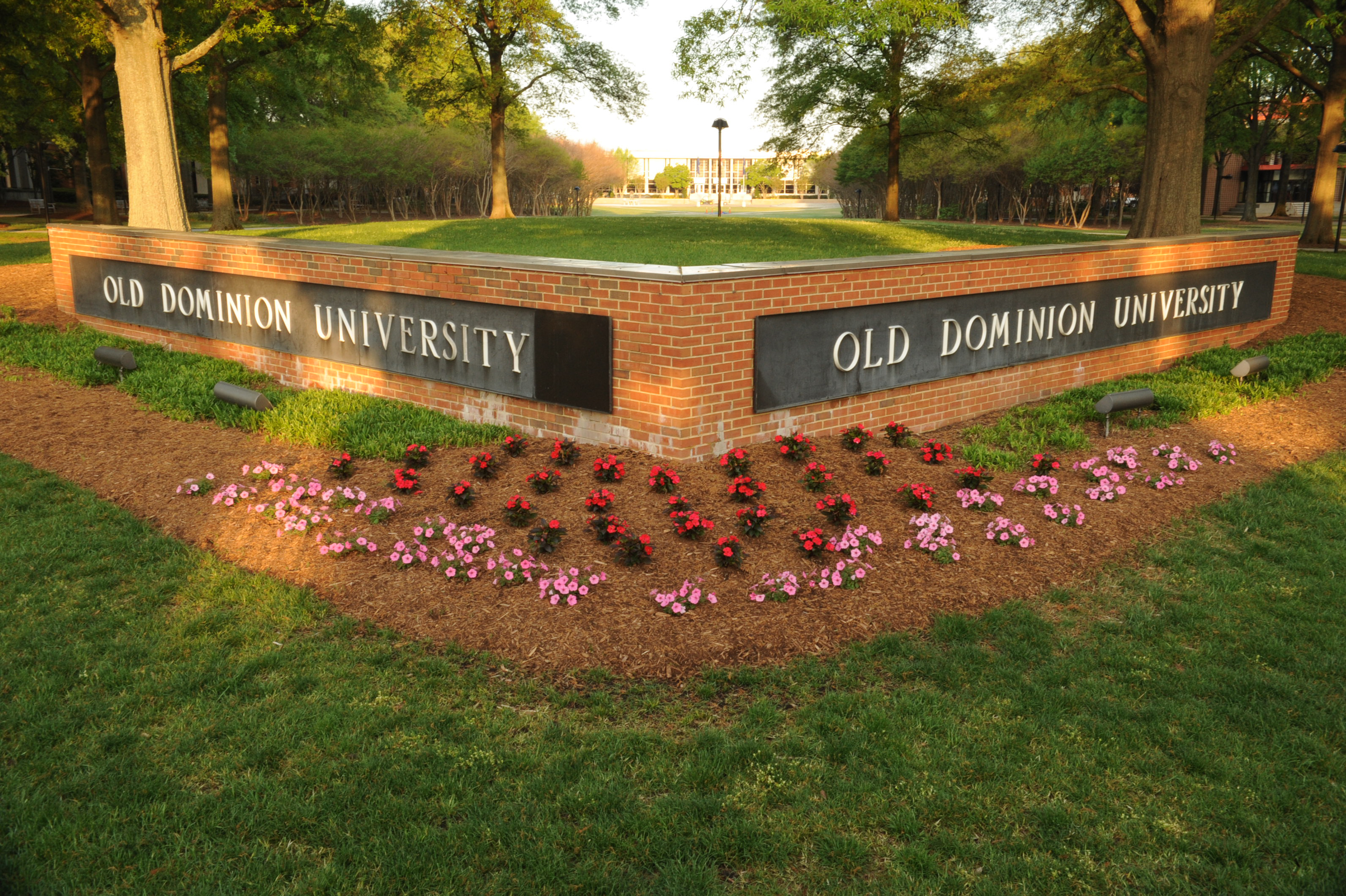 ODU to Recruit, Hire 25 Faculty in AI to Further Research in the Field ...