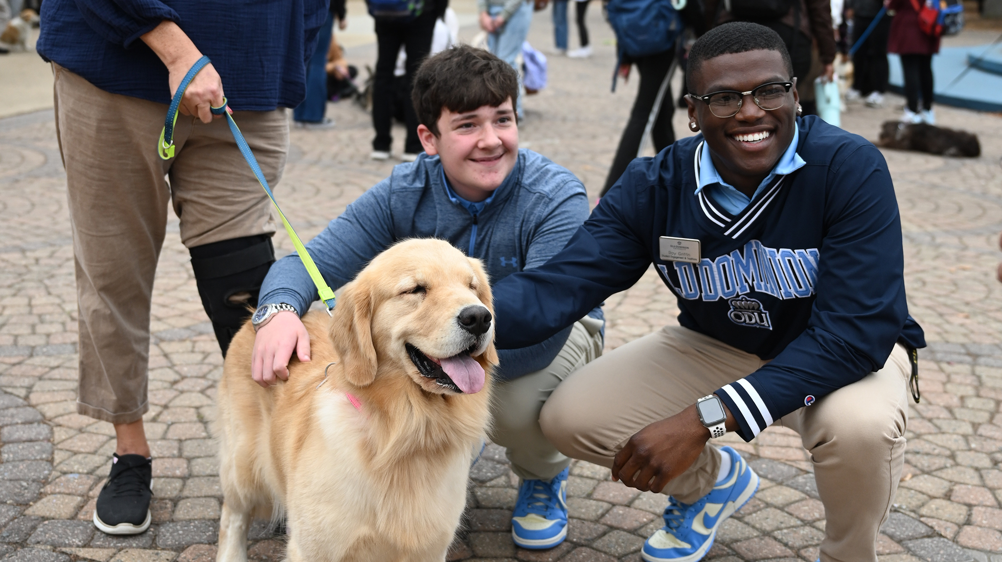 From “Pawsitive Vibes” to Renewing Resource Fairs, Board of Visitors ...