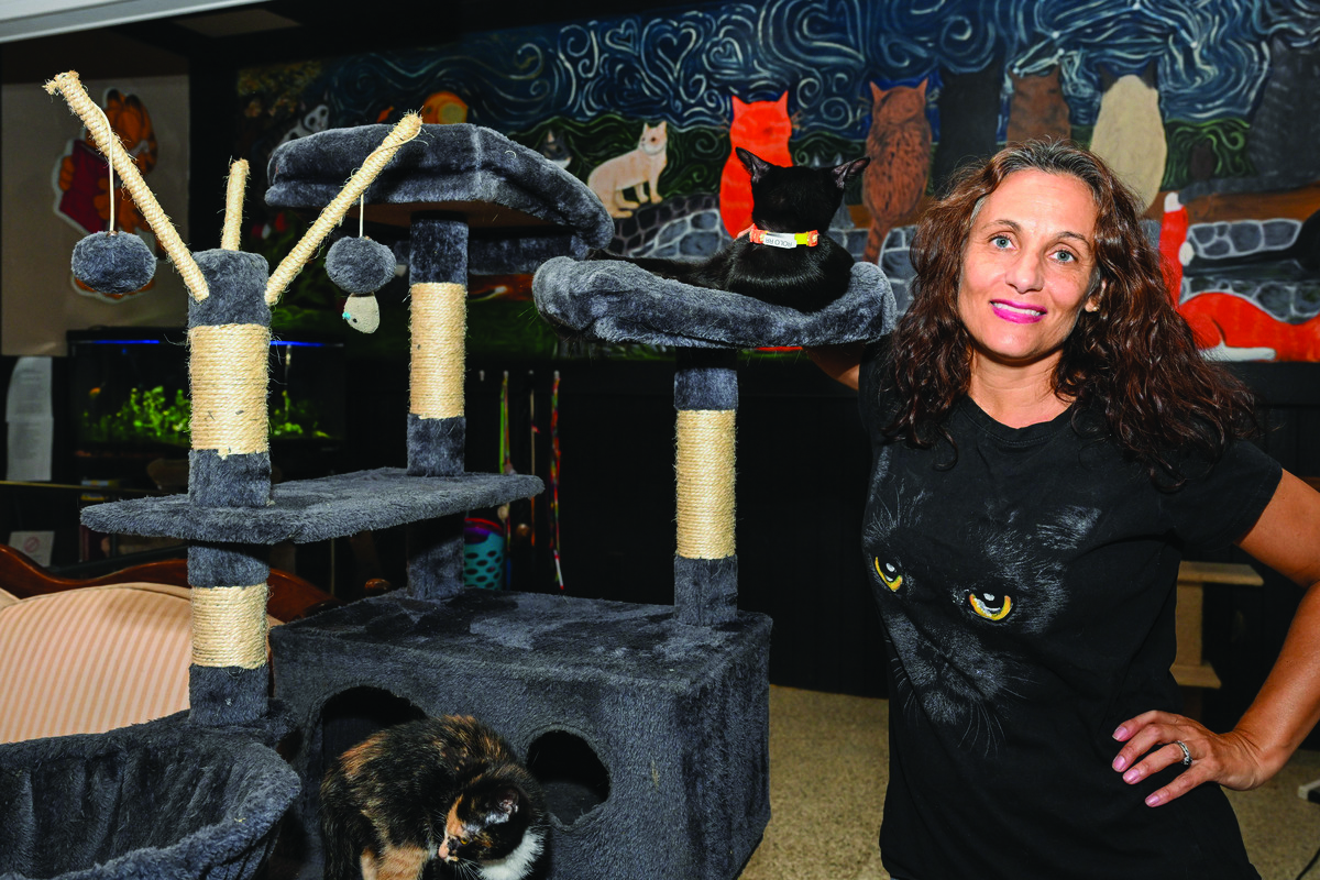 Zettel Built a Sanctuary for Cats – And Humans | Old Dominion University