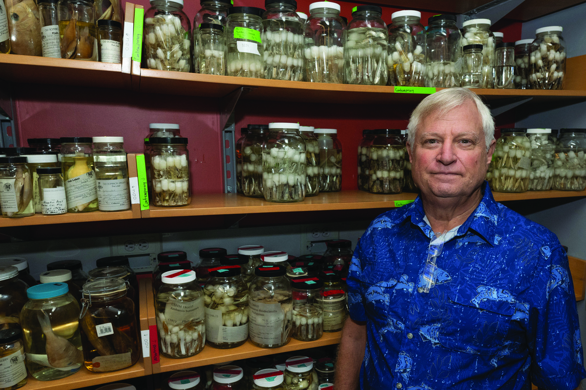 A Deep Dive into Genetic Diversity of Fish in Vietnam | Old Dominion ...