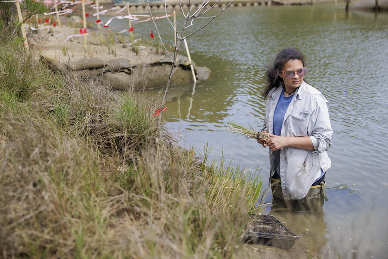Biological Sciences Master’s Student Earns $159,000 National Science ...