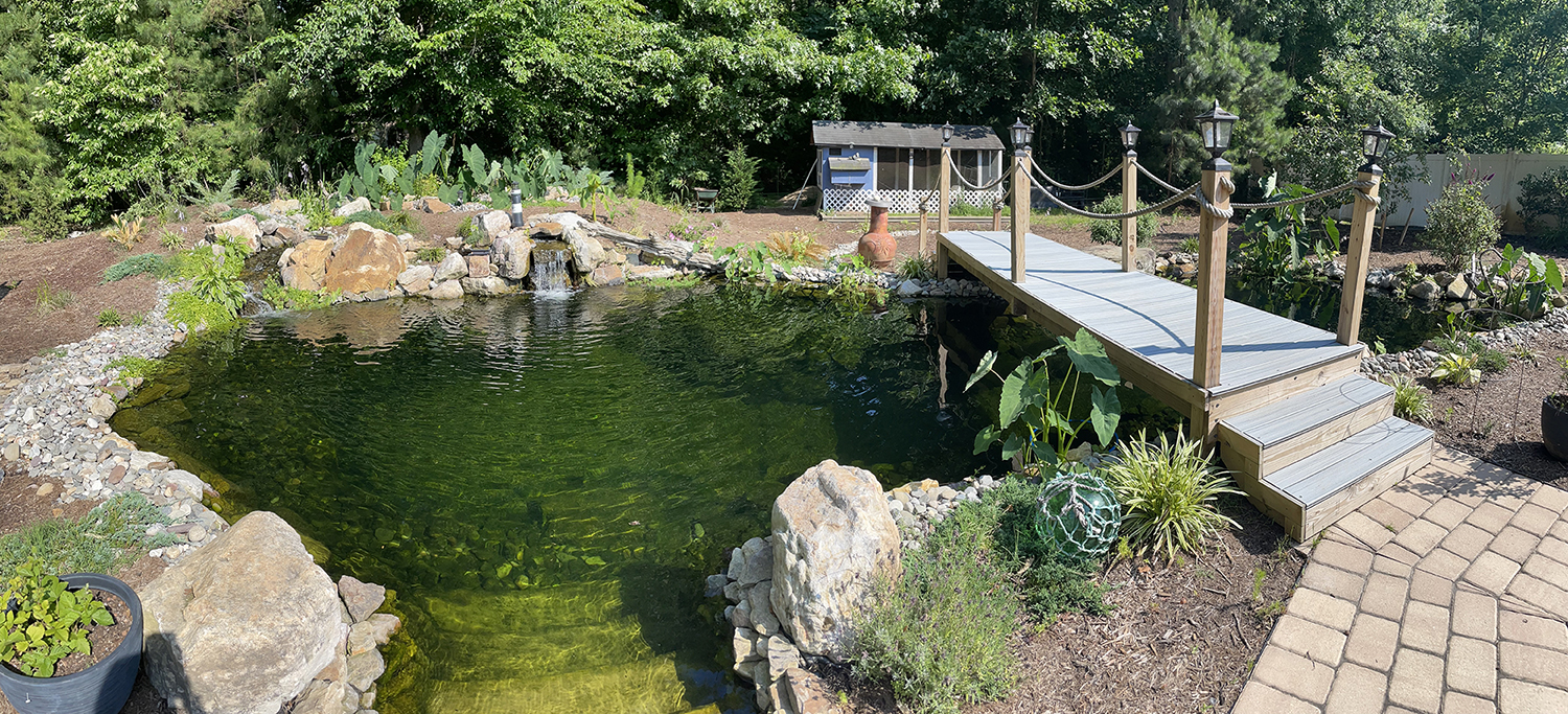 Exploring Blue Connections: Life in and Around Ponds in Chesapeake ...