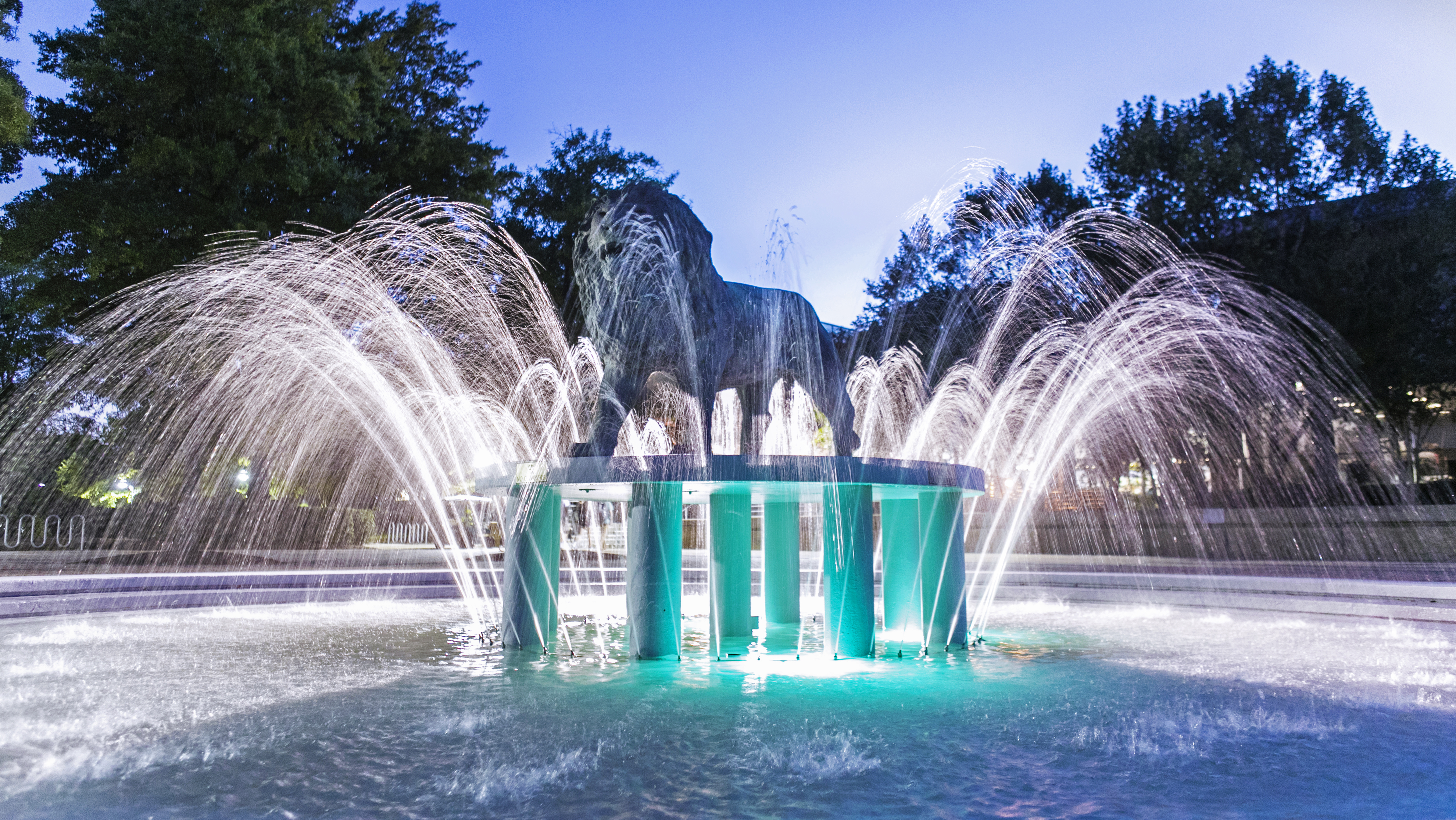 Ellmer College of Health Sciences Dean’s List Fall 2025 | Old Dominion ...