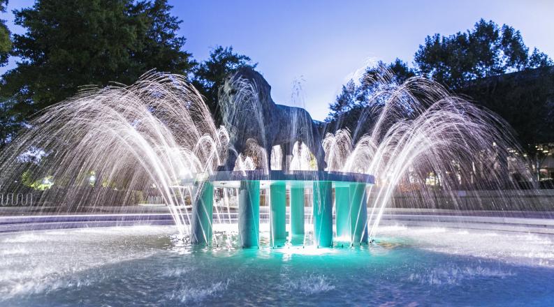 Ellmer College of Health Sciences Dean’s List Fall 2025 | Old Dominion ...