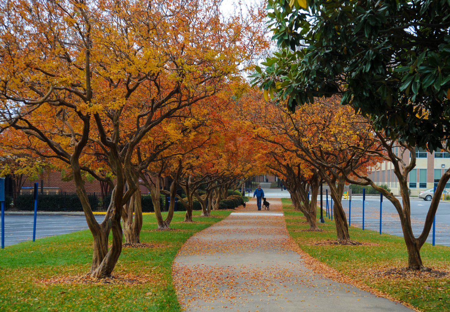 University Communications | Old Dominion University