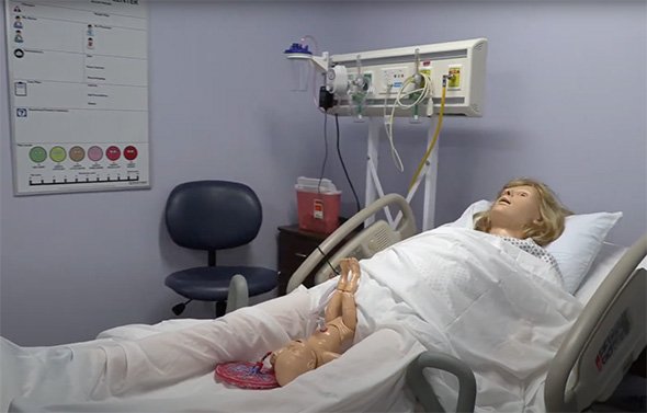 Undergraduate Program | Old Dominion University