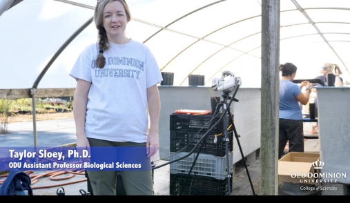 College of Sciences | Old Dominion University