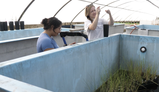 College of Sciences | Old Dominion University